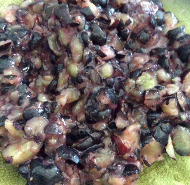 Blueberry Peach Salsa - Food With Thought