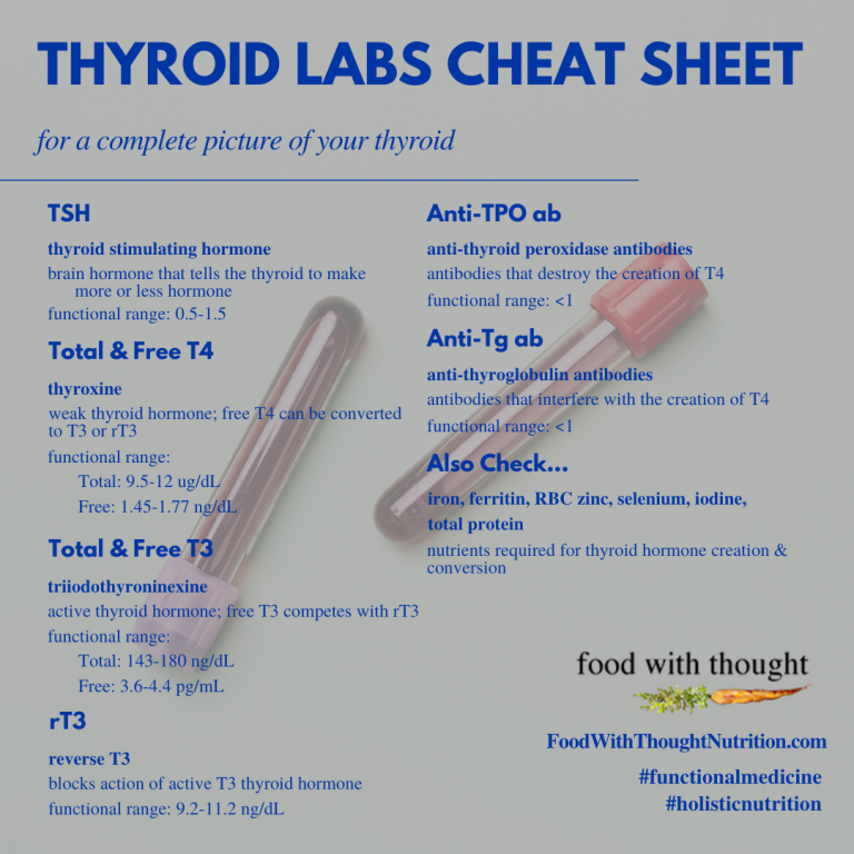 The Lab Panel Your Doctor Isn't Ordering, and Why You Still Feel Crappy ...
